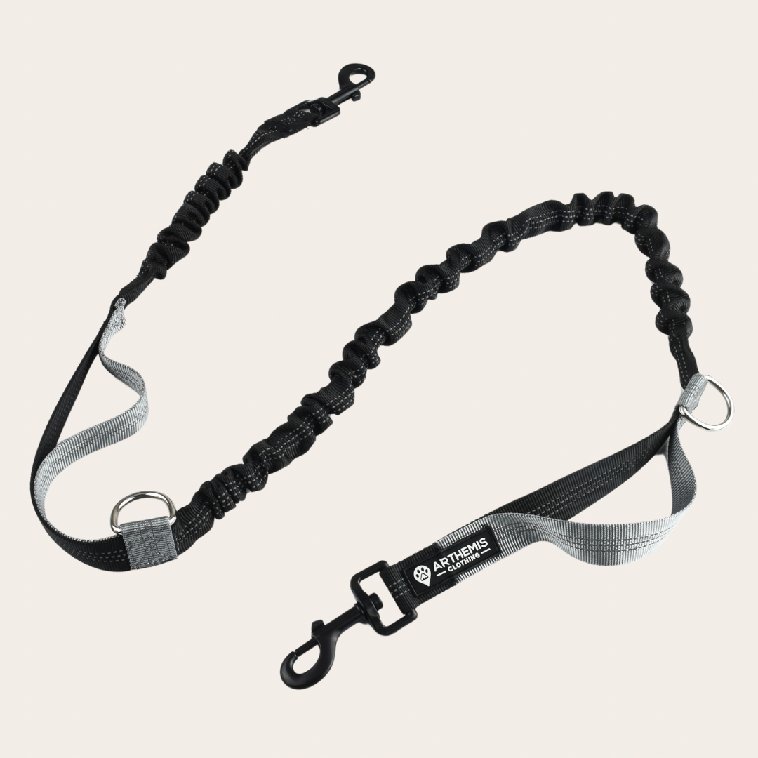 Handsfree Bungee Leash – arthemisclothing